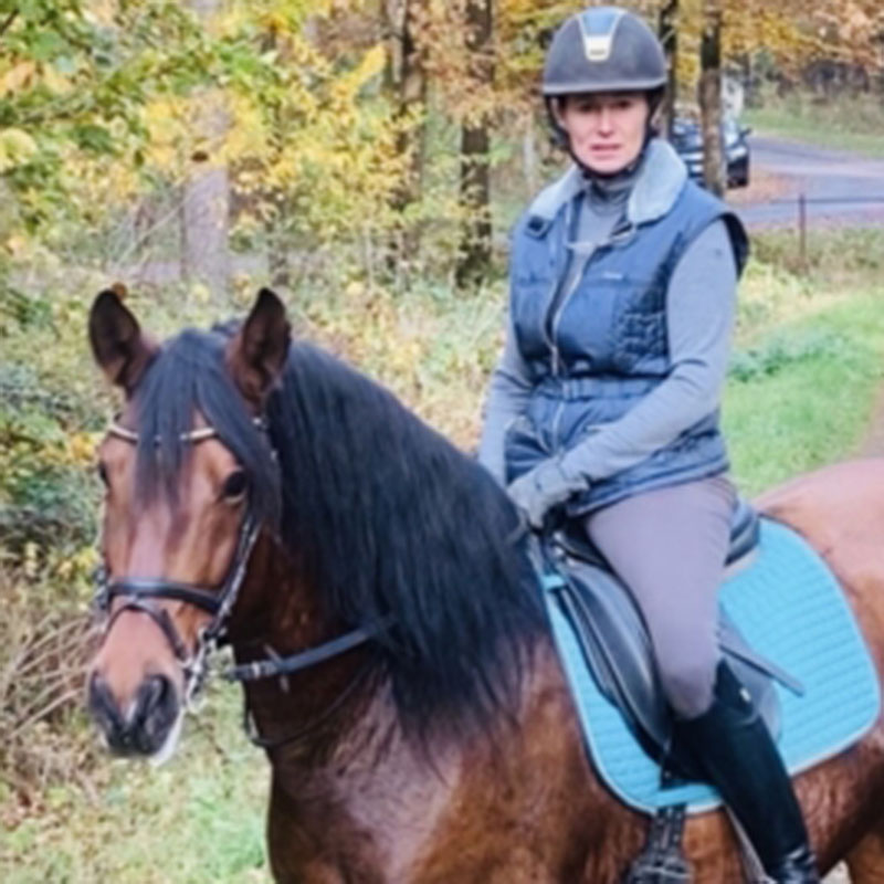 PRE Wallach einfach zu reiten